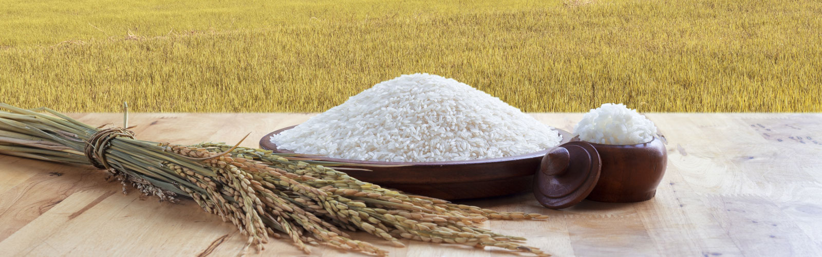Registered Dubai Importer Best Quality Of Rice